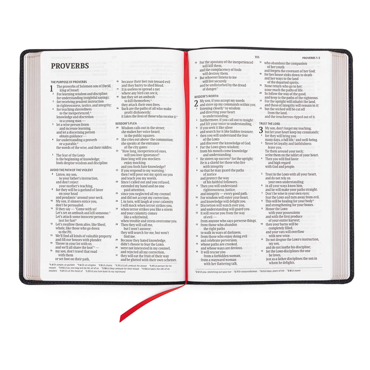 CSB Large Print Thinline Bible (LeatherTouch, Black) by CSB Bibles by ...