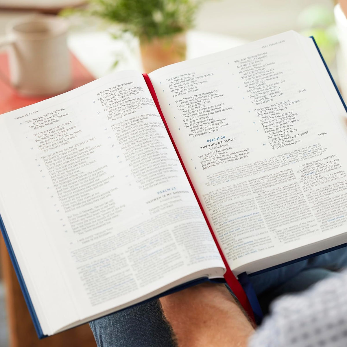 LSB MacArthur Study Bible 2nd Edition: Unleashing God's Truth One Vers
