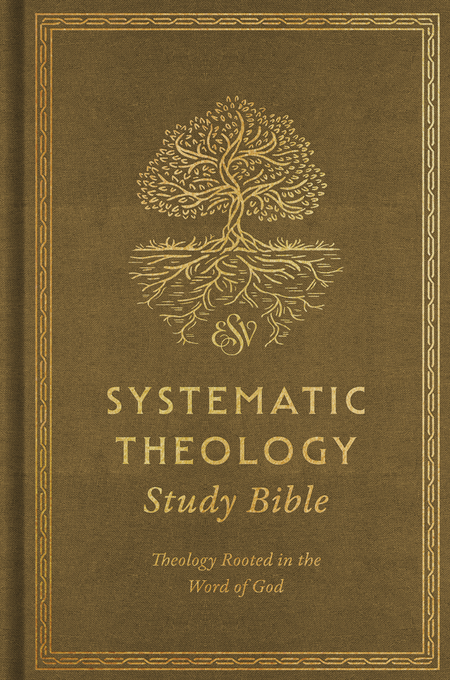 Systematic Theology Books | Reformers Bookshop