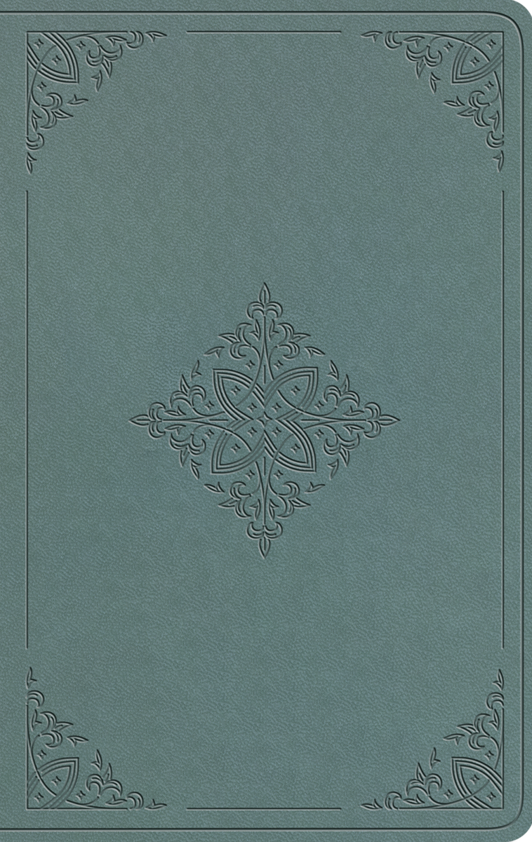 ESV Value Thinline Bible (TruTone, Paris Sky, Fleur-de-lis Design) by ESV