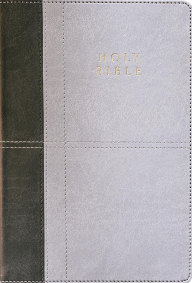 Reformation Heritage KJV Study Bible (Leather-Like, Two-Tone Gray) by Bible