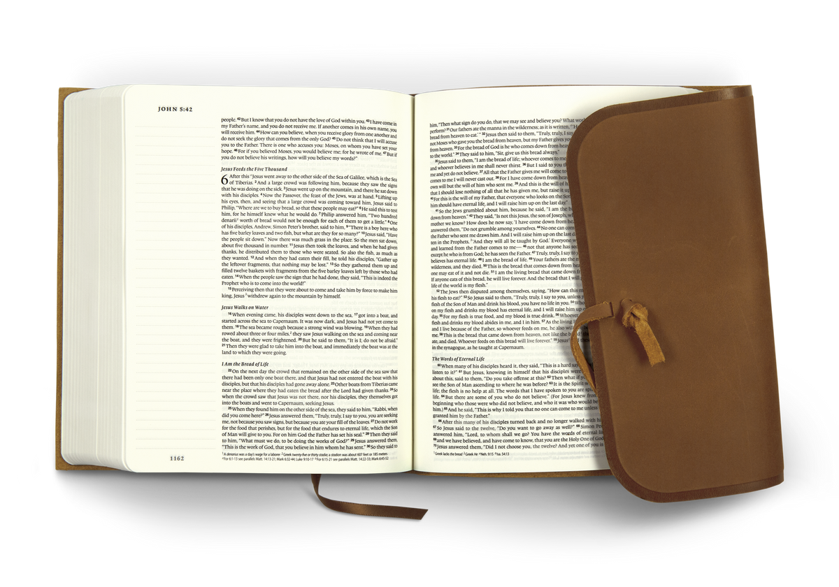 ESV Single Column Journaling Bible (Natural Leather, Brown, Flap with ...