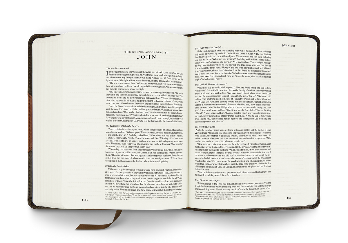 ESV Single Column Journaling Bible (TruTone, Brown/Cordovan, Portfolio ...