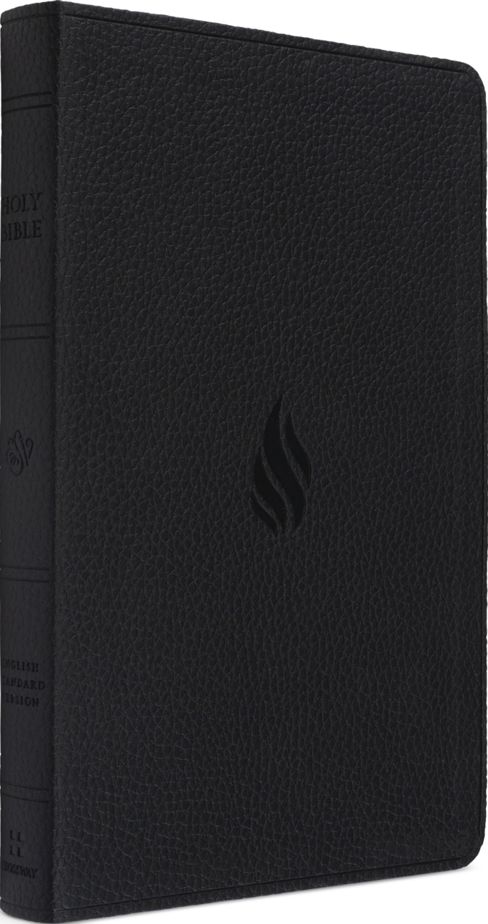 ESV Premium Gift Bible, Red Letter (TruTone, Midnight, Flame Design) by ESV
