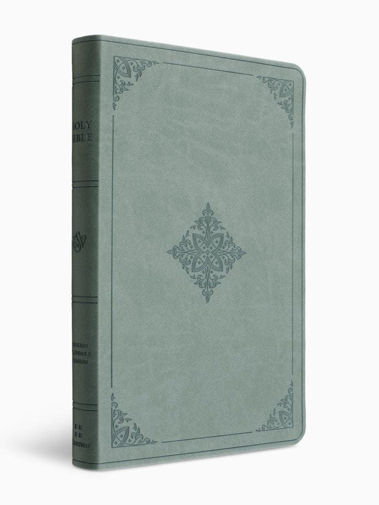 ESV Value Thinline Bible (TruTone, Paris Sky, Fleur-de-lis Design) by ESV