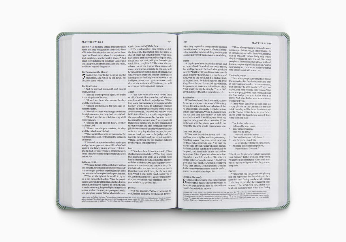 ESV Value Thinline Bible (TruTone, Paris Sky, Fleur-de-lis Design) by ESV