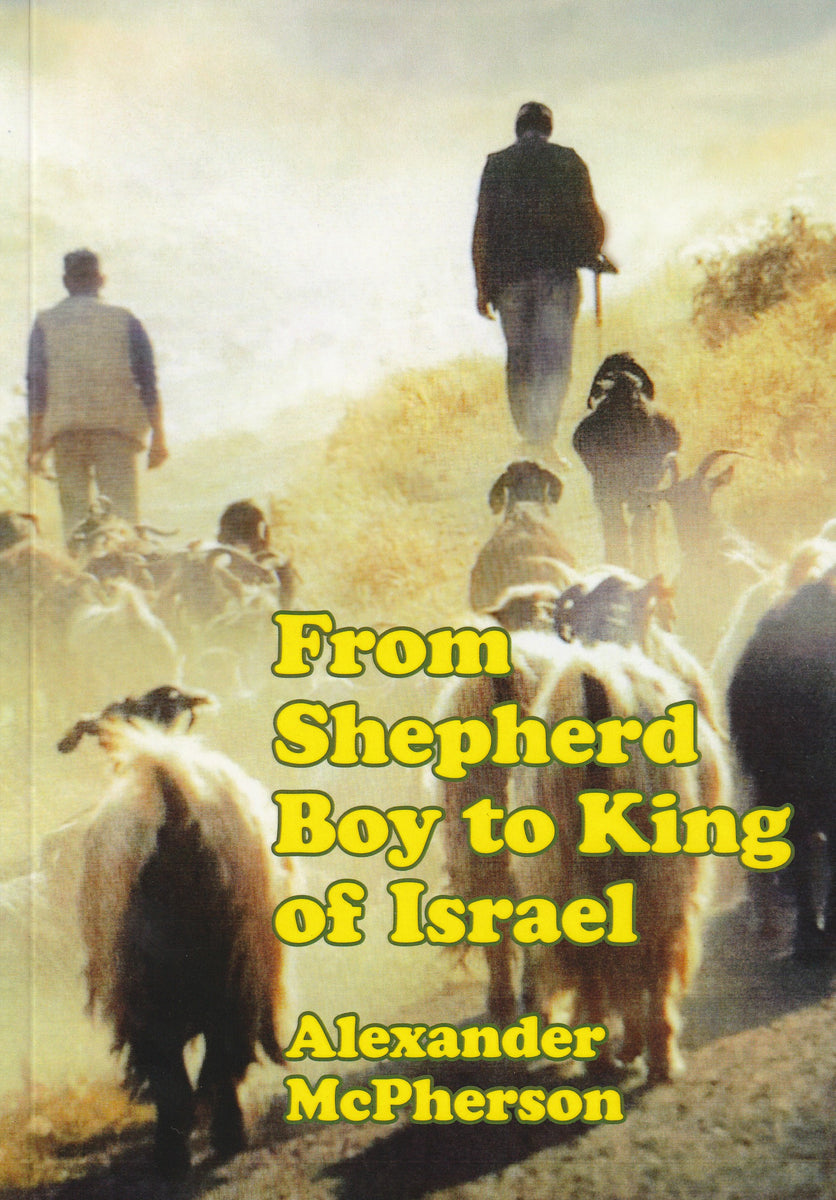 From Shepherd Boy to King of Israel by Alexander McPherson