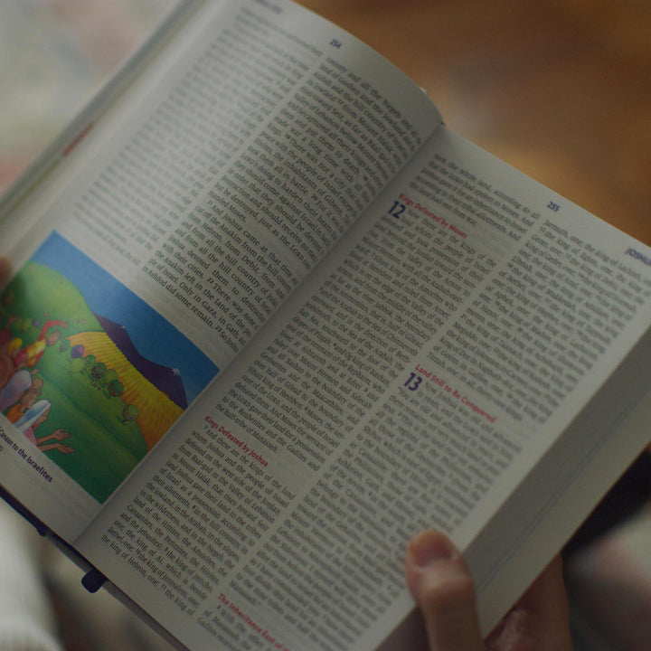 The Big Picture Story Bible by David R. Helm | Reformers