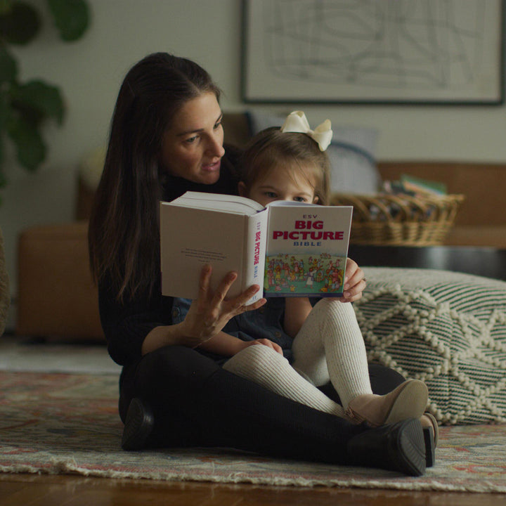 The Big Picture Story Bible by David R. Helm | Reformers