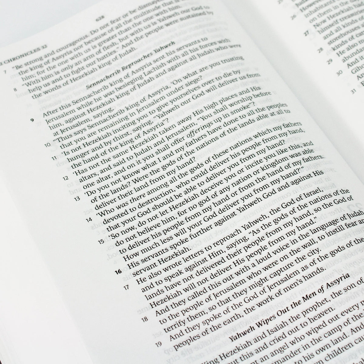 LSB Single Column Text Only (Linen, Blue)