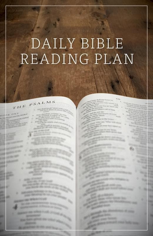 Daily Bible Reading Plan (25 Pk) by M'Cheyne, Robert