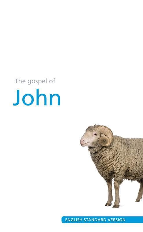 ESV John's Gospel by John (9781873166987)