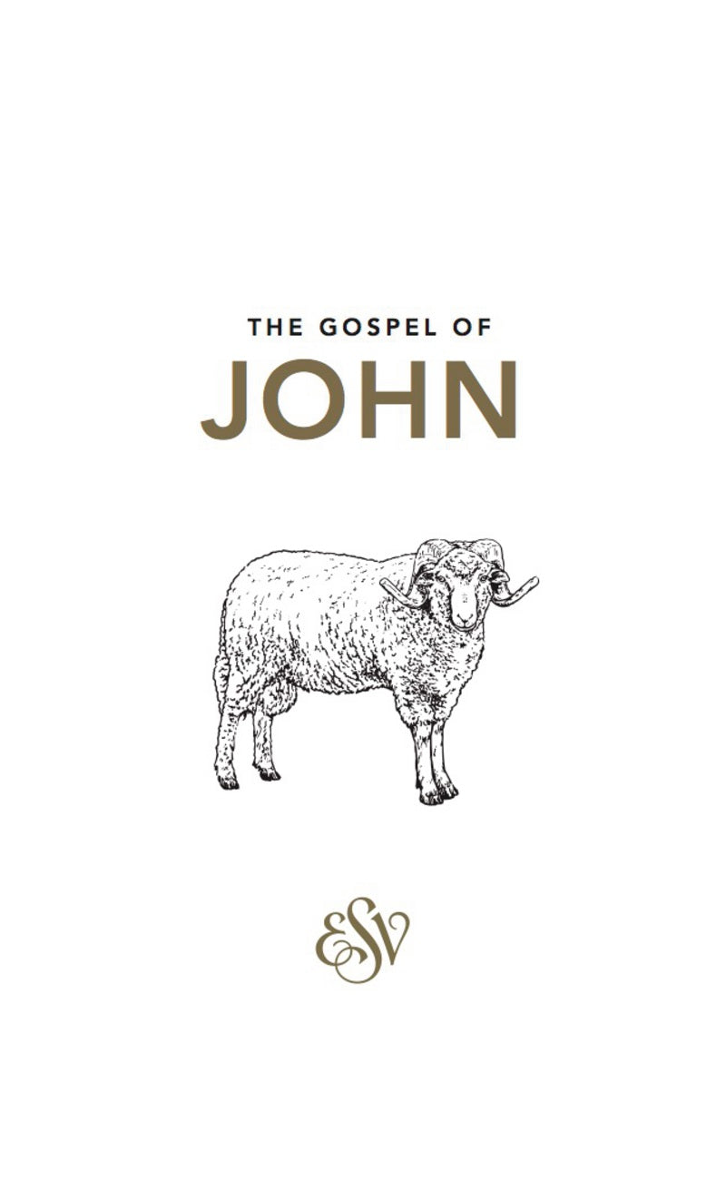 ESV John's Gospel by John (9781873166987)