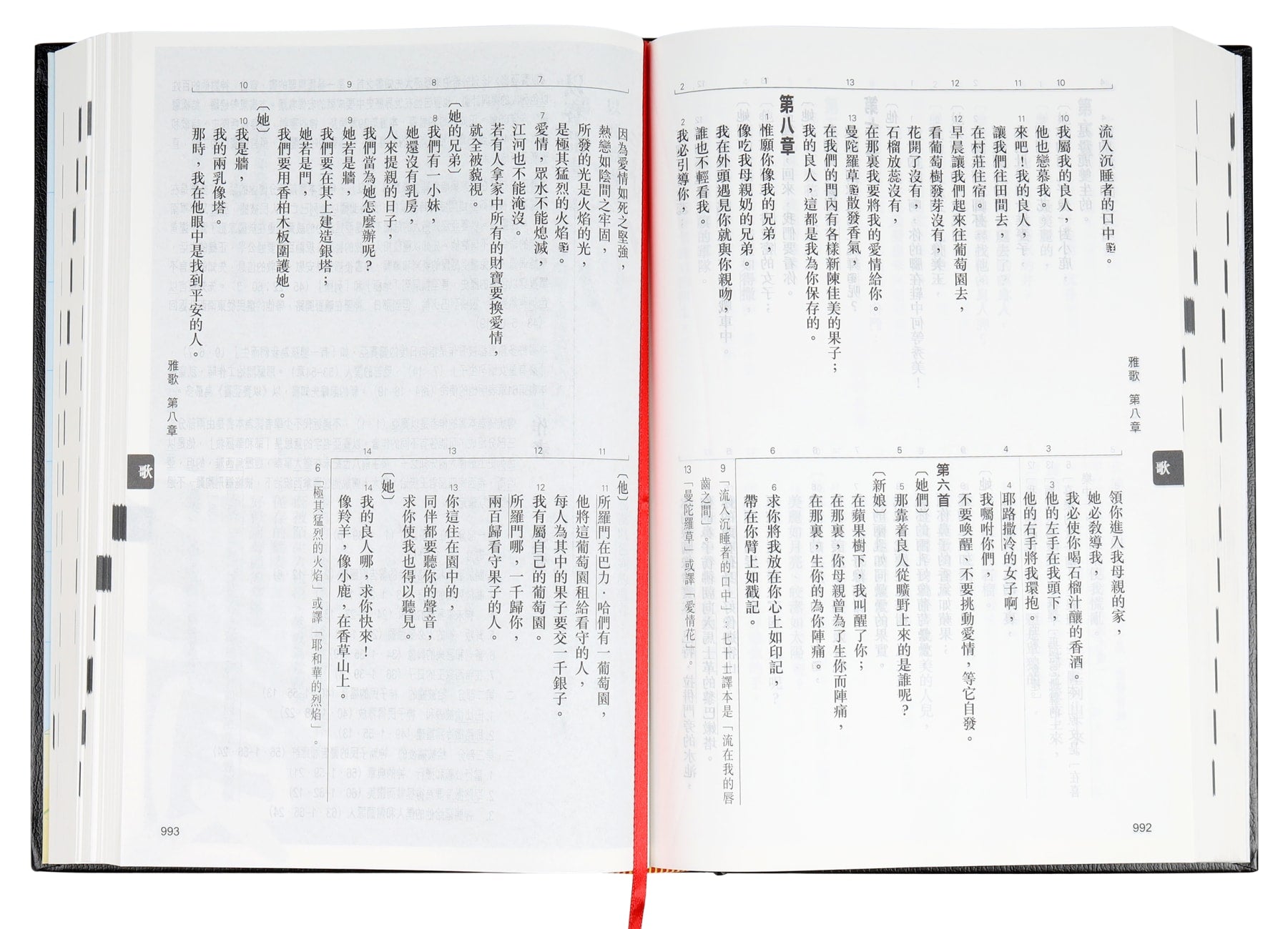 RCUV Revised Chinese Union Large Print Shen Edition Traditional Script